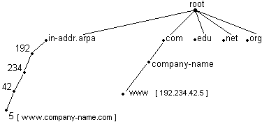 Reverse Resolution - in-addr.arpa. - InetDaemon's IT Tutorials